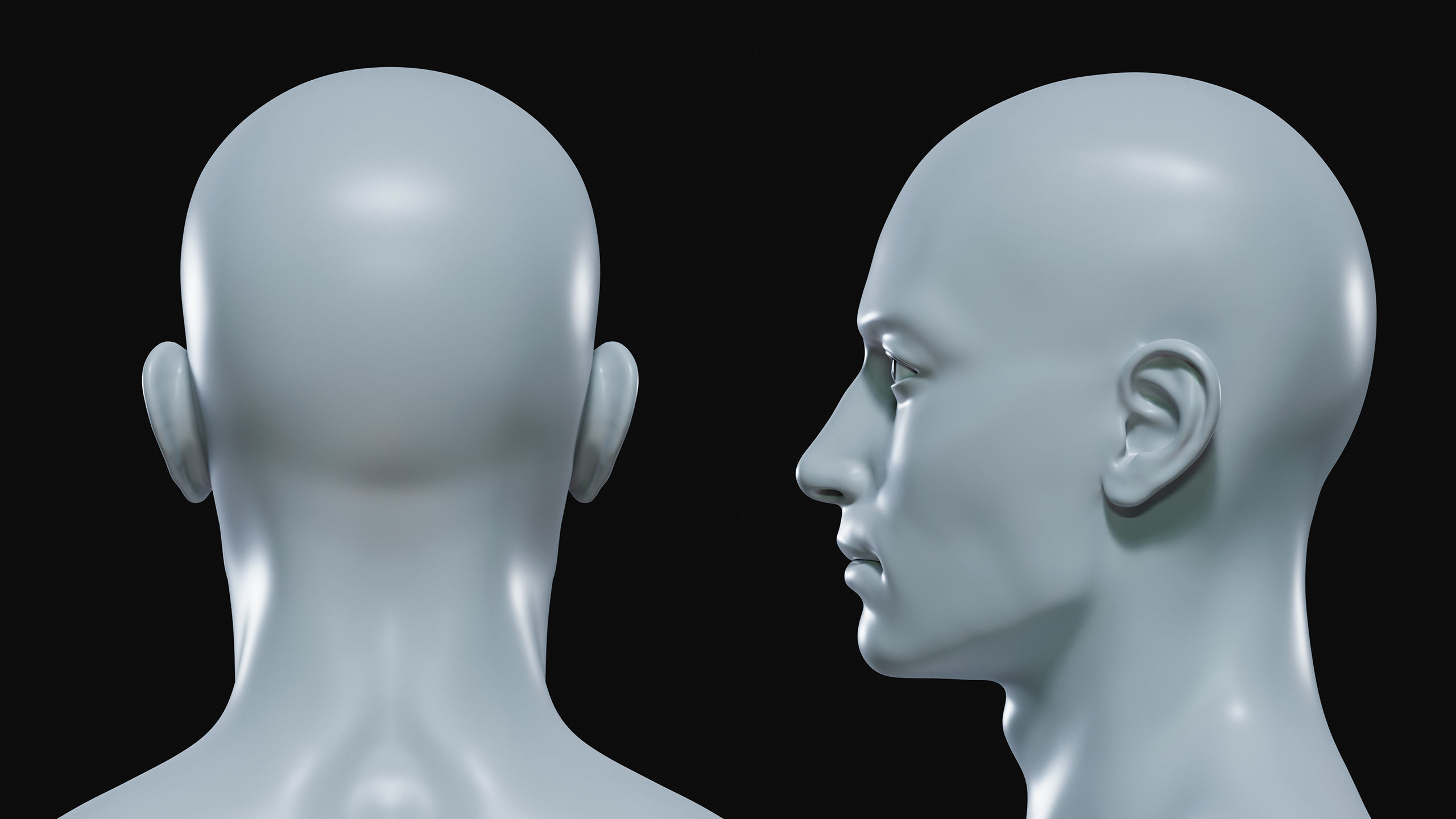 3D Model Collection Realistic Athletic Human Body Base Mesh VR / AR ...