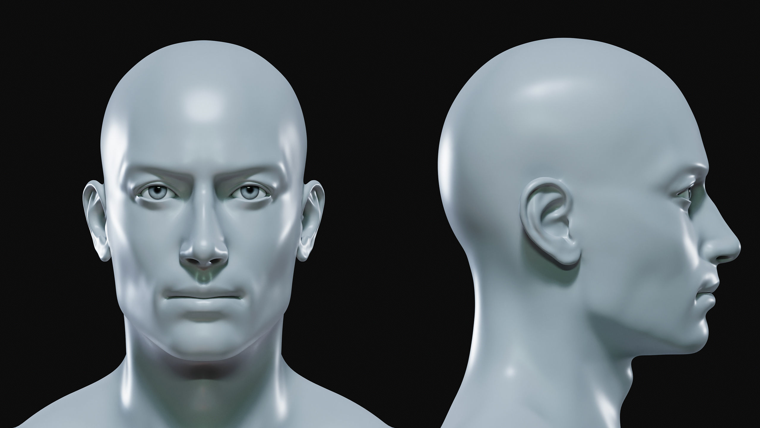 3D Model Collection Realistic Athletic Human Body Base Mesh VR / AR ...