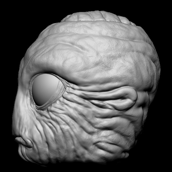 Roonan - Star Wars Jedi Action Figure Head Sculpt - 3D File STL 3D ...