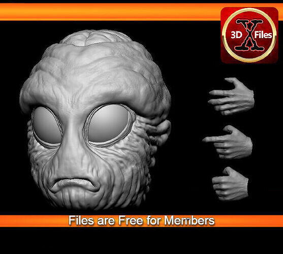 Roonan - Star Wars Jedi Action Figure Head Sculpt - 3D File STL 3D ...