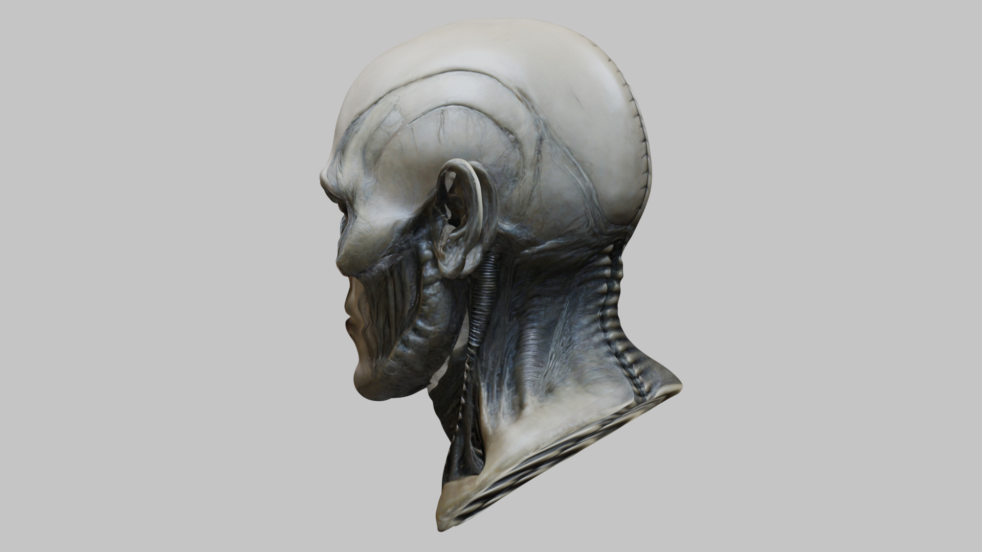 3D model Fantasy Giger Alien Man head bust VR / AR / low-poly | CGTrader