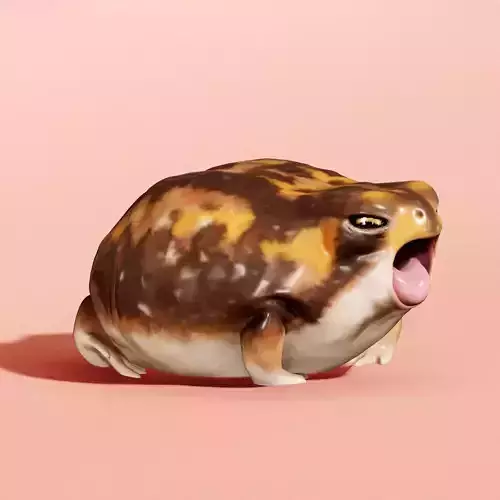 Yawning Desert Rain Frog 3D model 3D printable | CGTrader