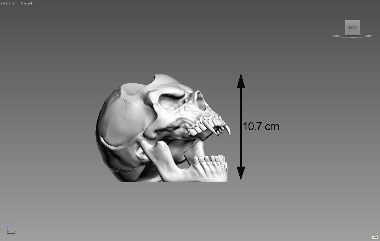 Ps5 controller stand scream wild Skull ps5controller holder 3D model 3D ...