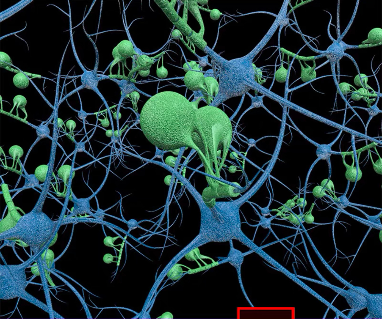 nerve cell free model with textue free 3D model | CGTrader