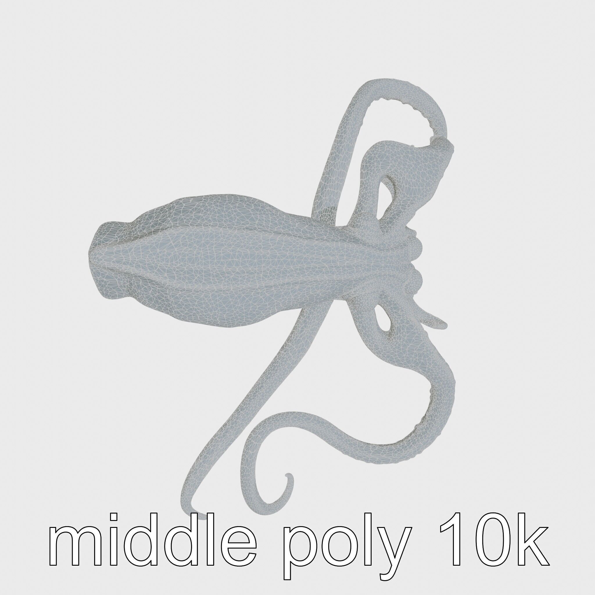 3D model Vampire Squid 3D Model with Glowing Eyes VR / AR / low-poly ...