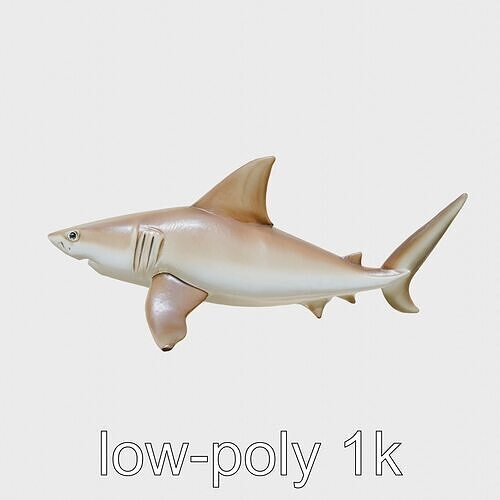 3D model Horn Shark 3D Model with Spine-Covered Back VR / AR / low-poly ...