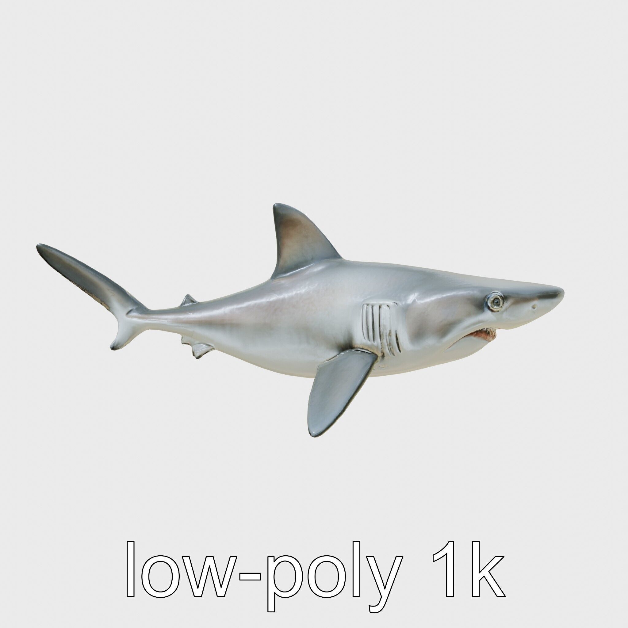 3D model Hammerhead Shark 3D Model with Wide-Set Eyes VR / AR / low ...