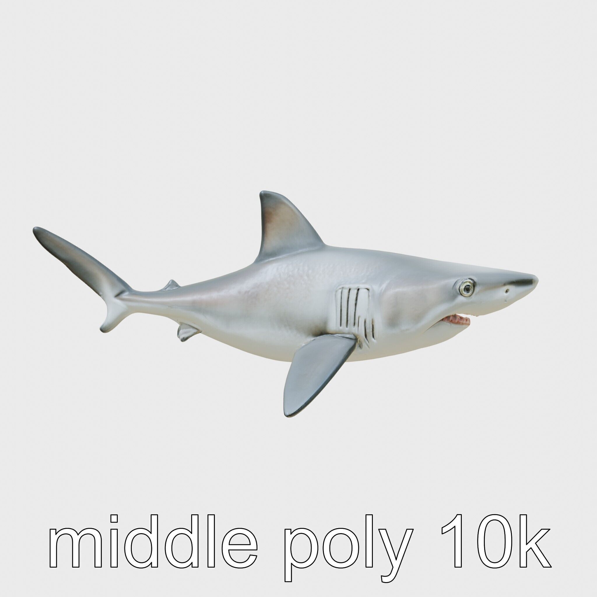 3D model Hammerhead Shark 3D Model with Wide-Set Eyes VR / AR / low ...