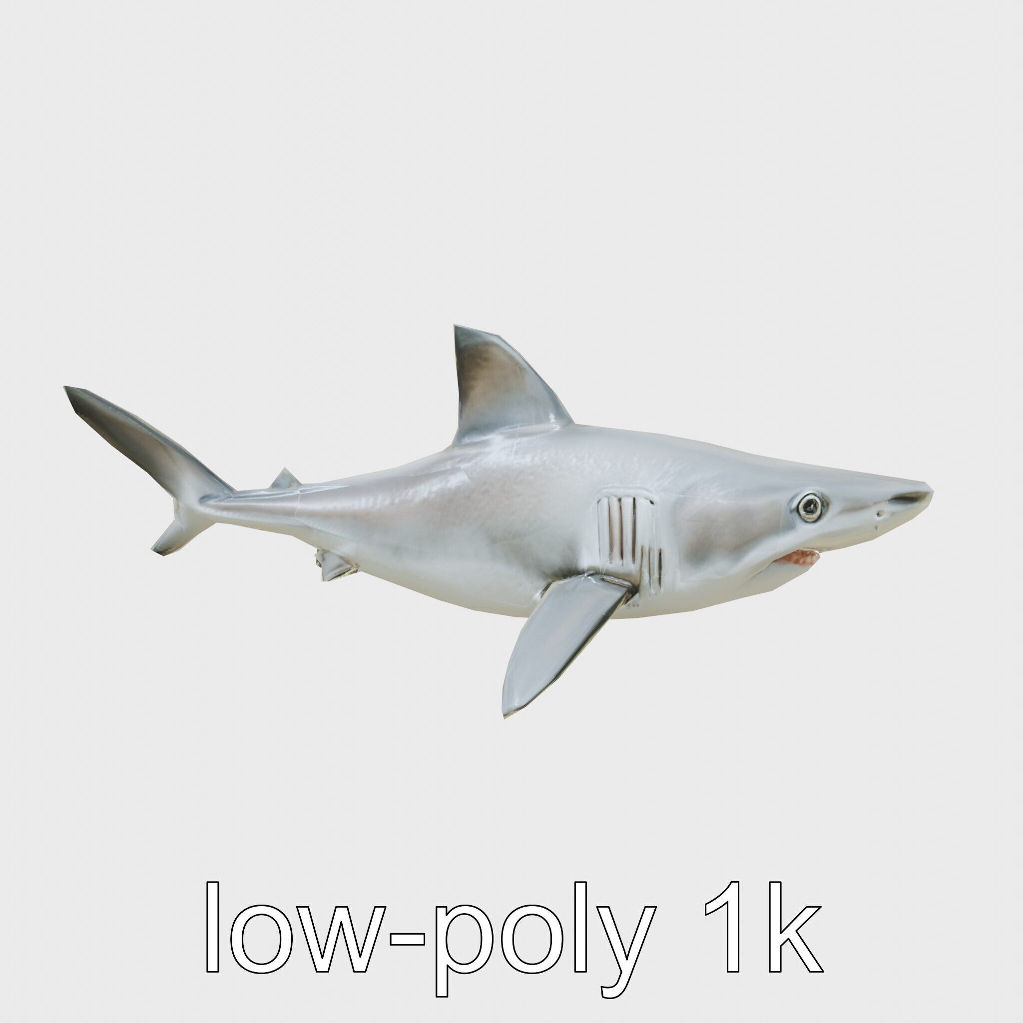 3D model Hammerhead Shark 3D Model with Wide-Set Eyes VR / AR / low ...