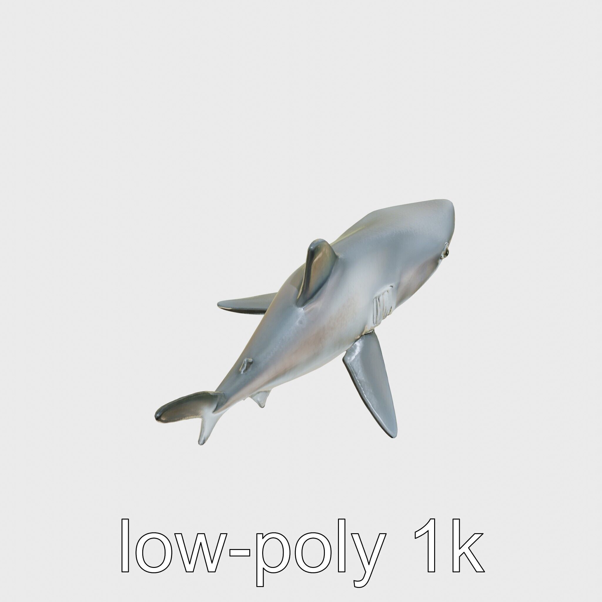 3D model Hammerhead Shark 3D Model with Wide-Set Eyes VR / AR / low ...