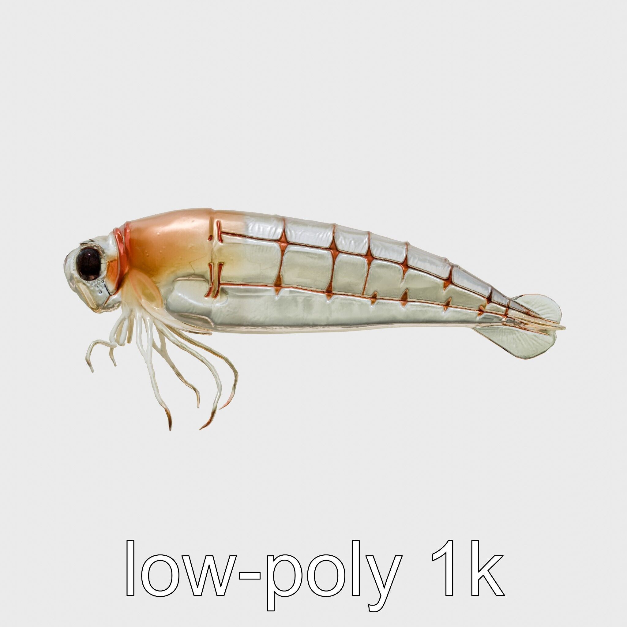 3D model Bioluminescent Comb Jelly 3D Model with Cilia Details VR / AR ...