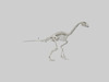 3D model Brachiosaurus Skeleton model VR / AR / low-poly | CGTrader