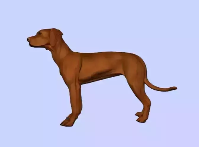 Rhodesian Ridgeback Dog Figurine free 3D model 3D printable | CGTrader