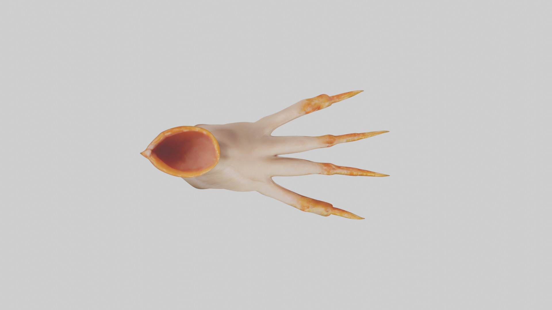 Chicken Feet Model 3D model | CGTrader