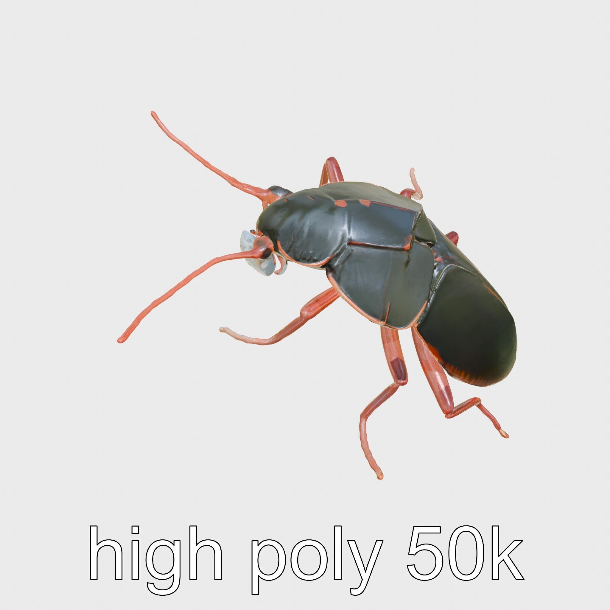 3D model American Cockroach Model with Detailed Segmentation VR / AR ...