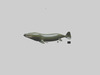 Electric Eel swimming model 3D model | CGTrader