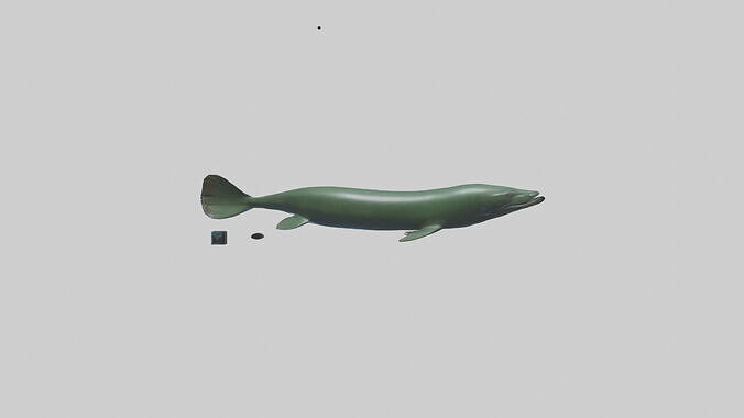 Electric Eel swimming model 3D model | CGTrader
