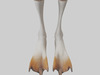 3D model Goose Feet Model VR / AR / low-poly | CGTrader