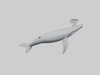 3D model Gray Whale spouting model VR / AR / low-poly | CGTrader