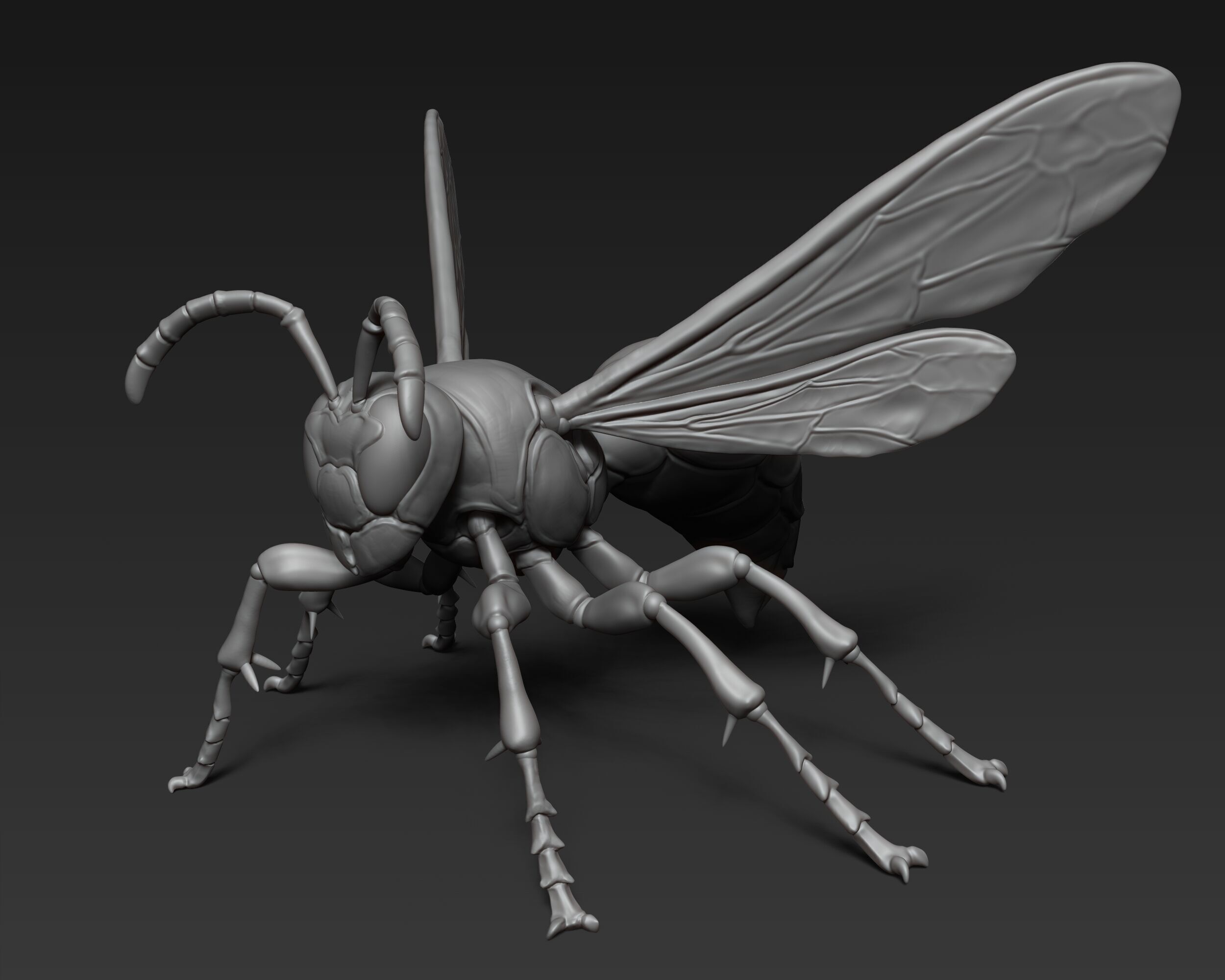 Wasp 3D Print 3D model 3D printable | CGTrader