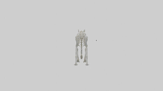 3D model Lynx Skeleton model VR / AR / low-poly | CGTrader