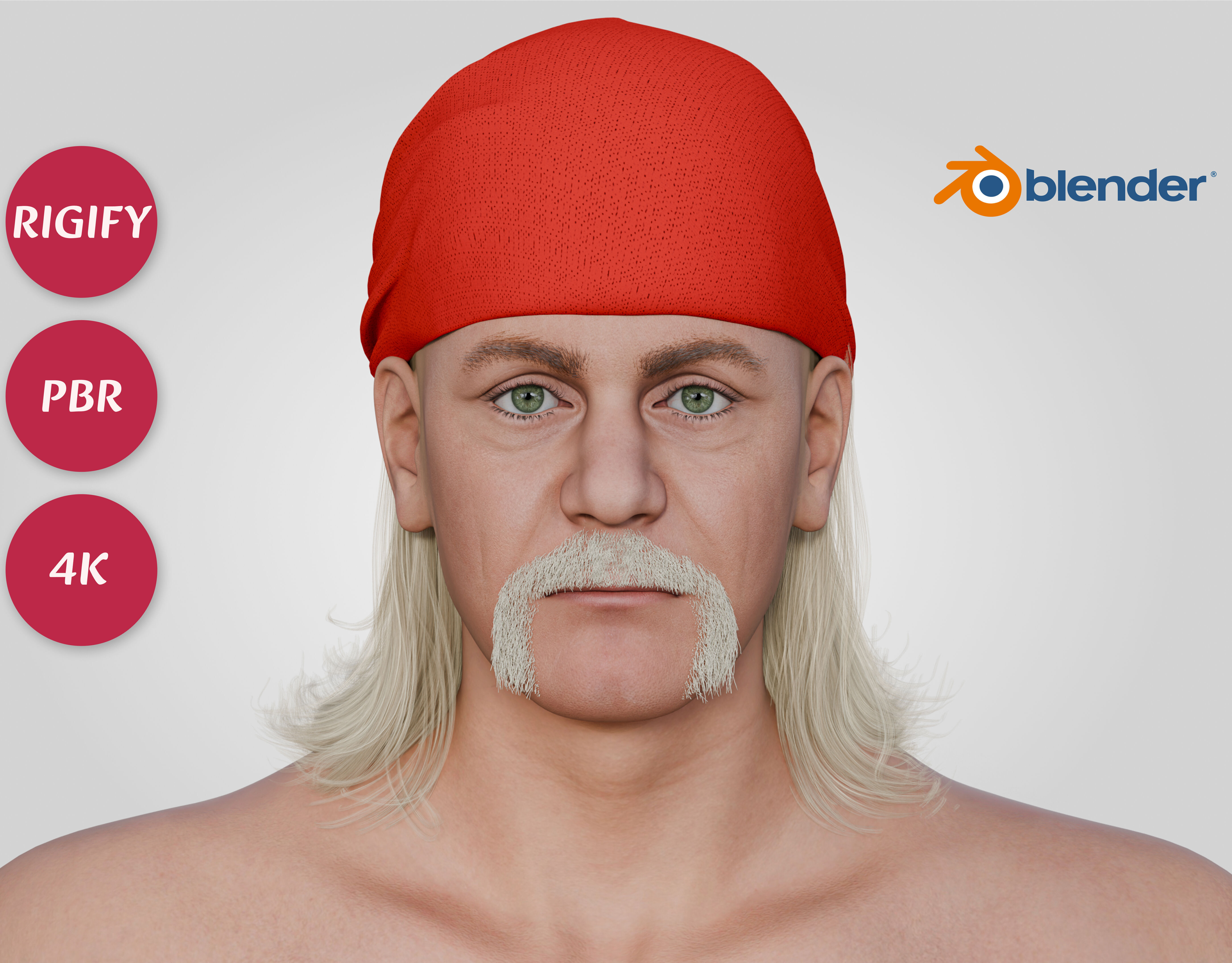 3D model Hulk Hogan - American MMA Fighter Wrestler - Slicked Back Hair ...