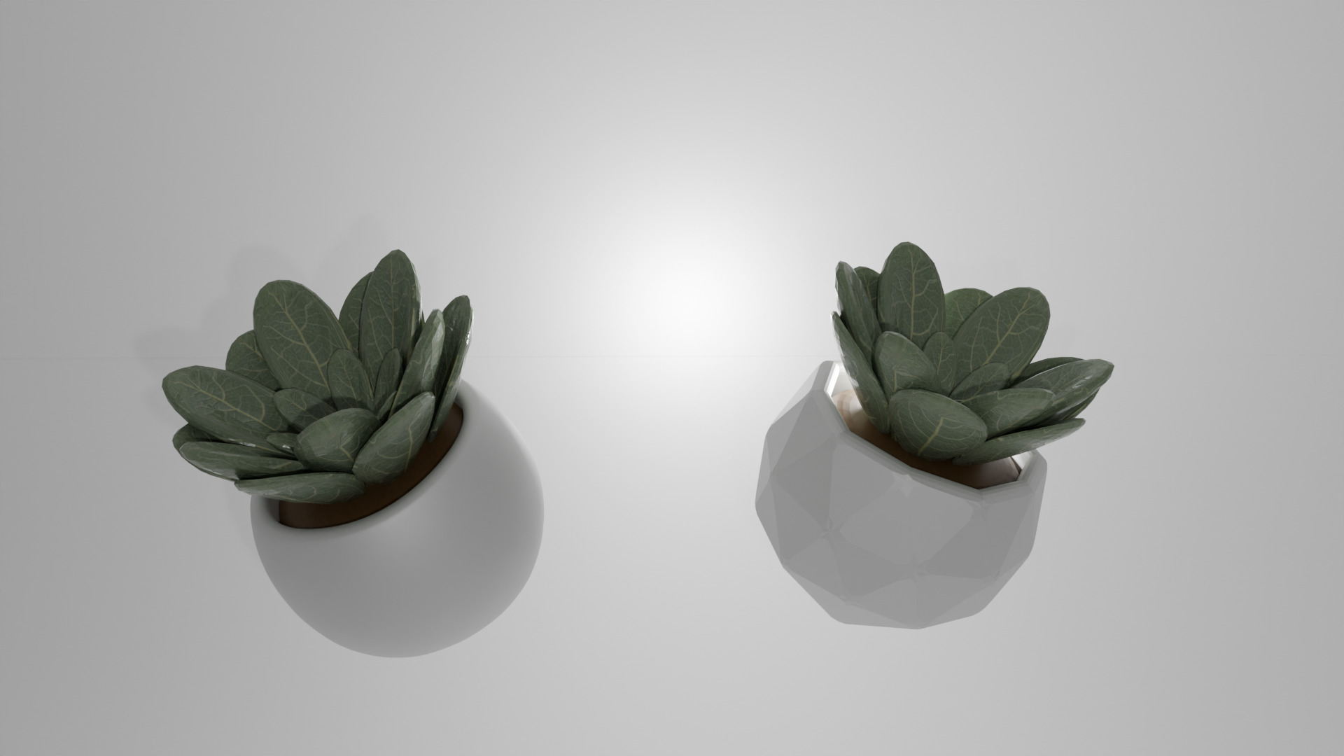 Free Succulent Plant in Low Poly Pot PBR Texture Game Ready free 3D ...