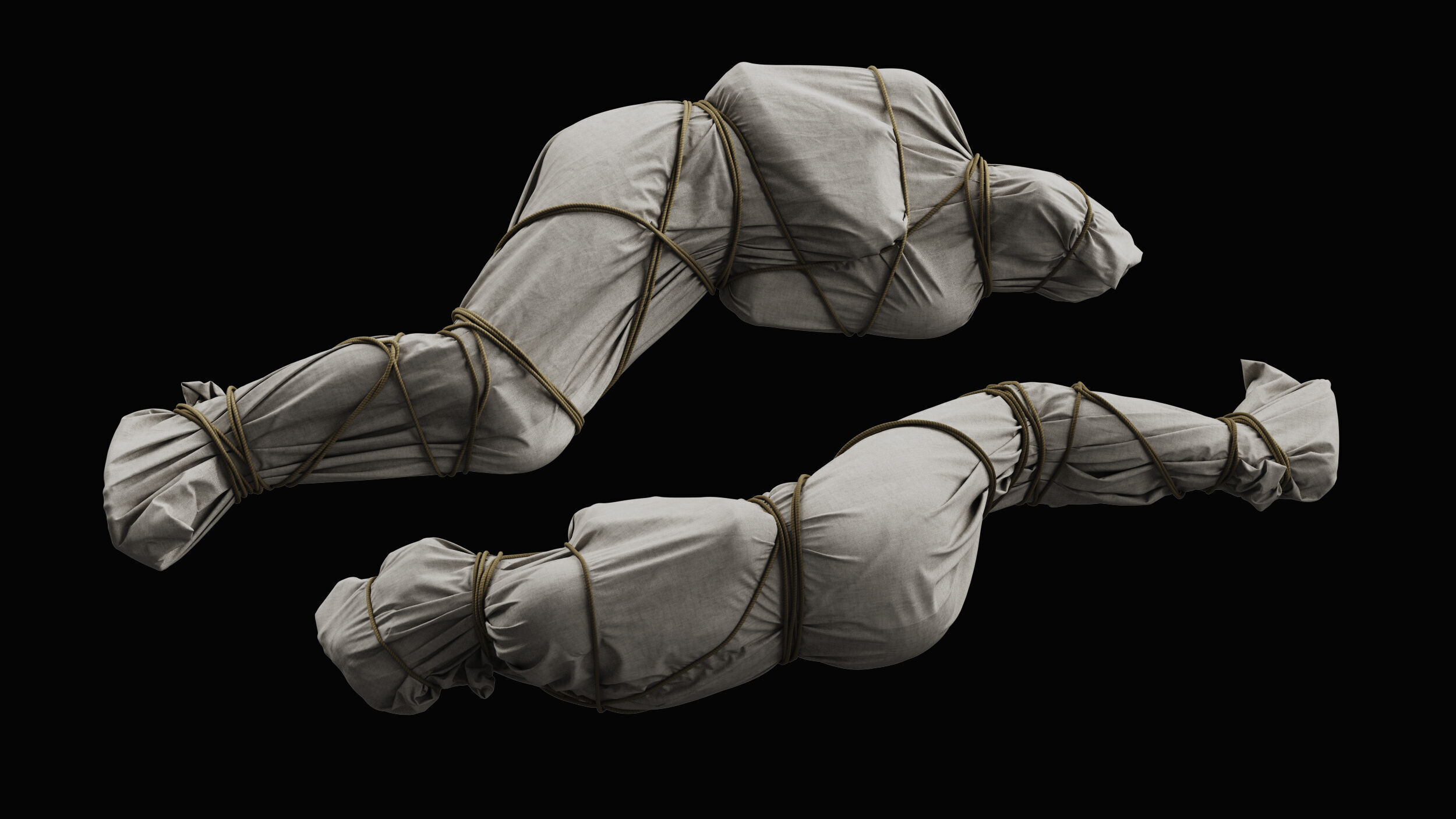 Covered Corpse Collection v2 a 3D model | CGTrader