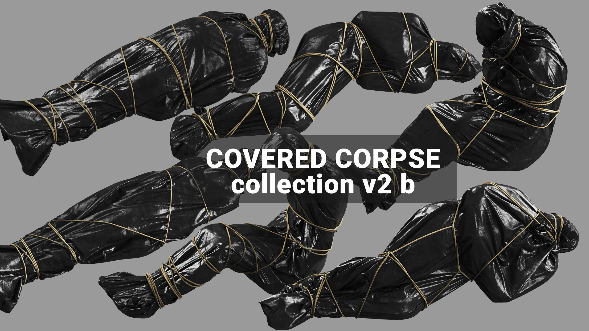 Covered Corpse Collection v2 b 3D model | CGTrader