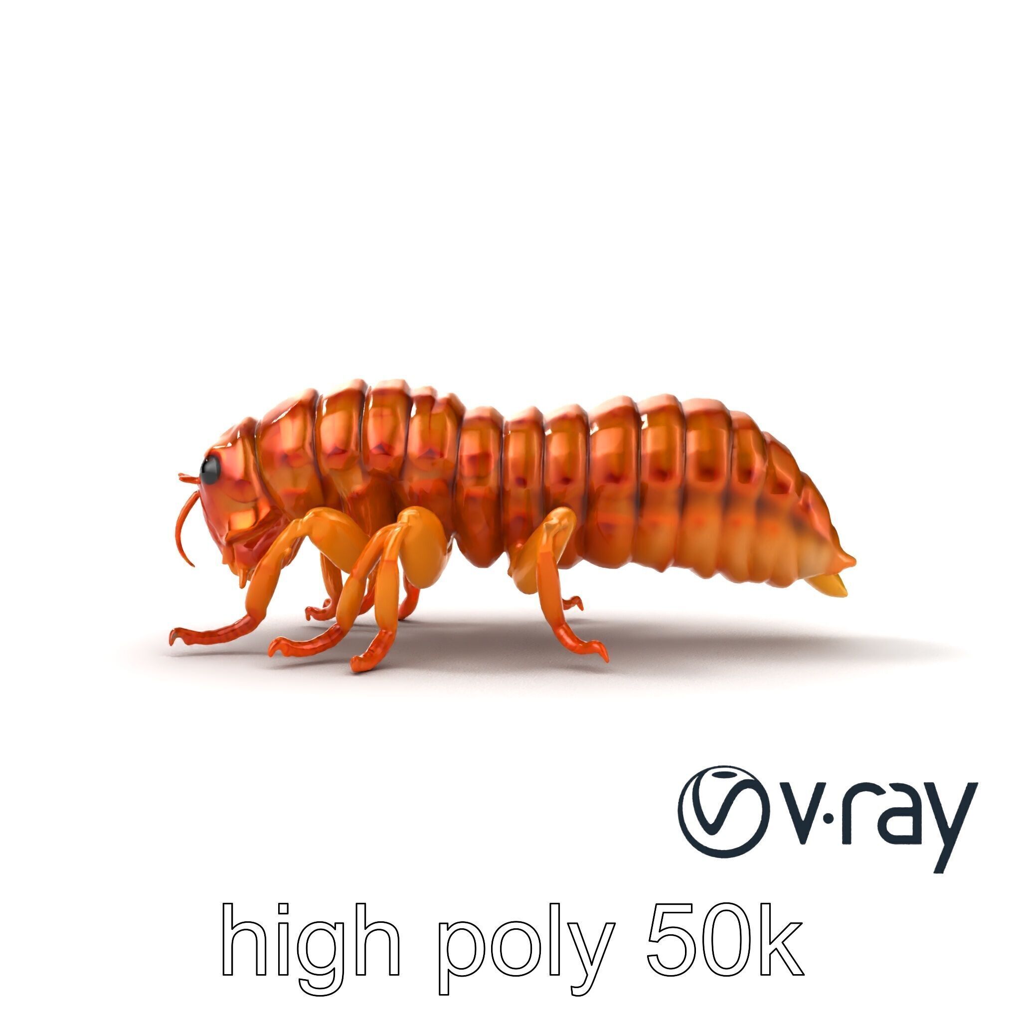 3D model Antlion Larva Detailed Exoskeleton model pack VR / AR / low-poly | CGTrader