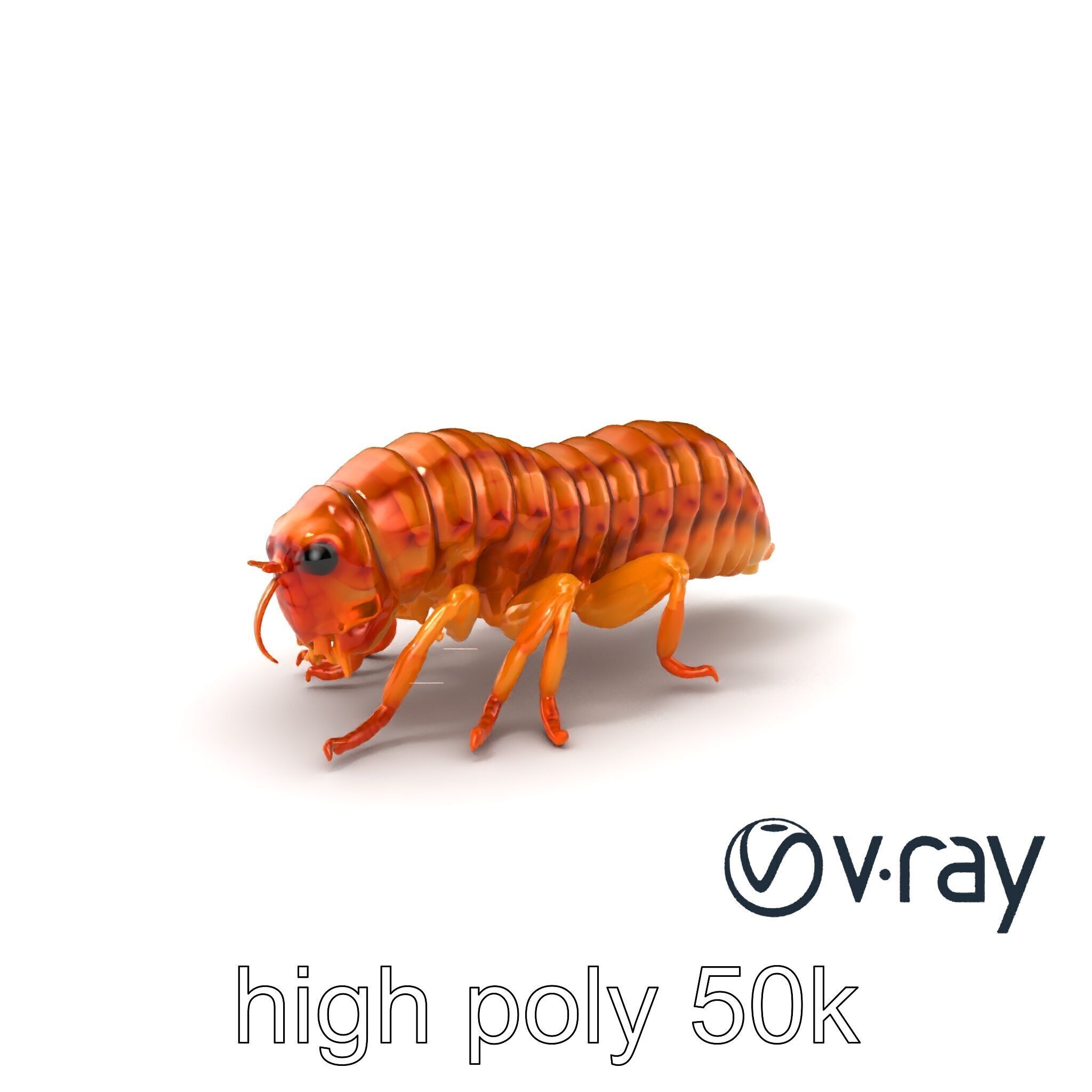 3D model Antlion Larva Detailed Exoskeleton model pack VR / AR / low-poly | CGTrader