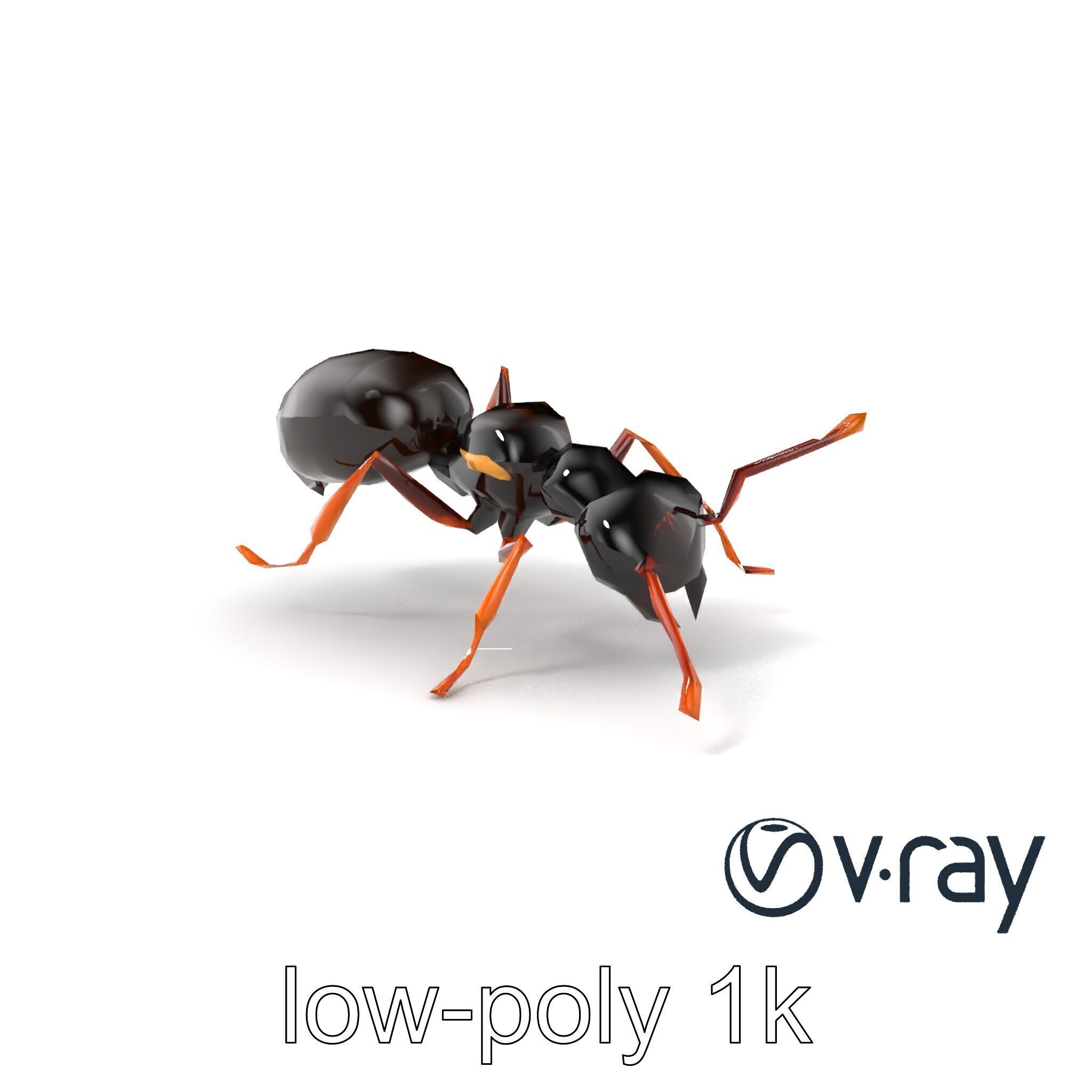 3D model Realistic Carpenter Ant Model Pack VR / AR / low-poly | CGTrader