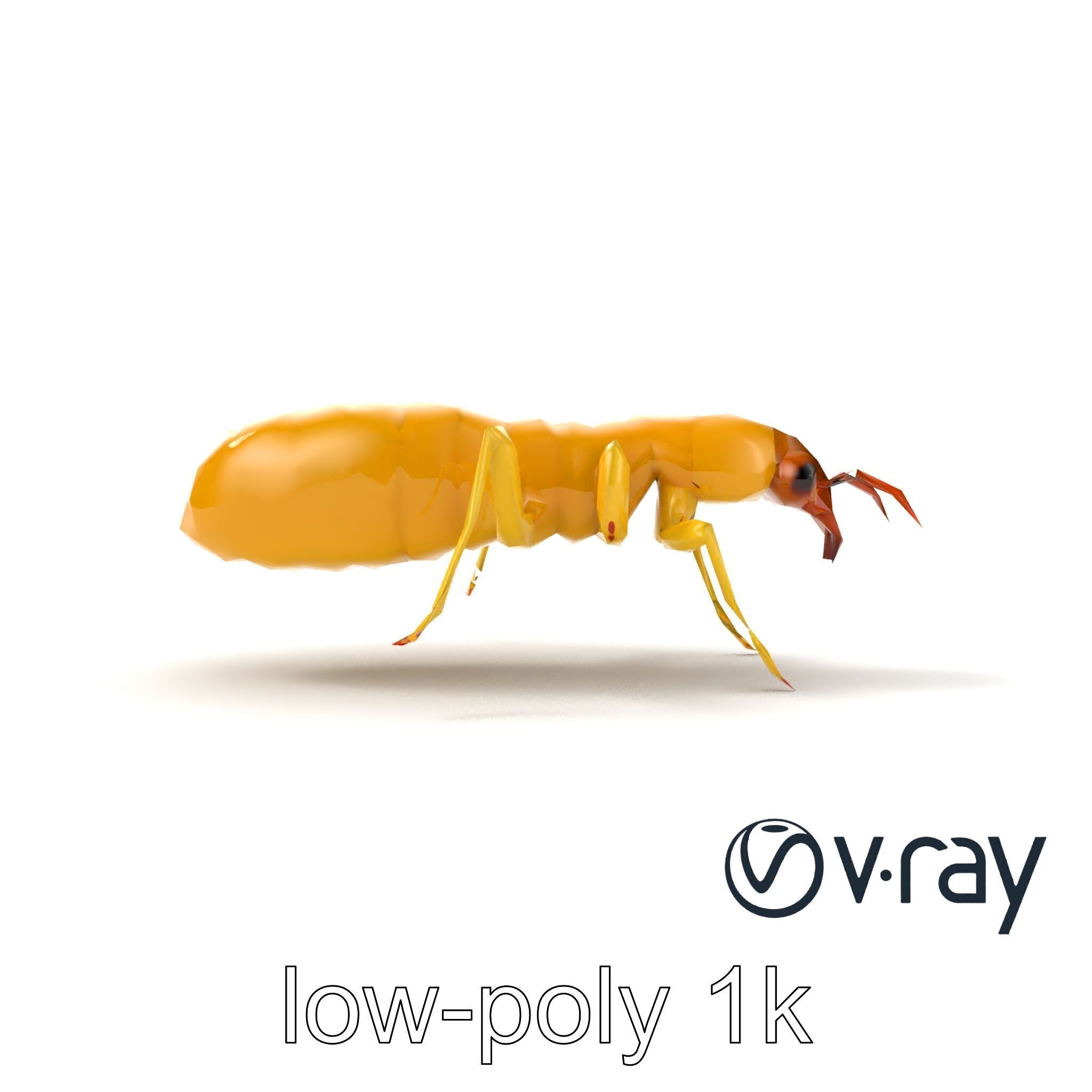 3D model Realistic Termite Insect Model Pack VR / AR / low-poly | CGTrader