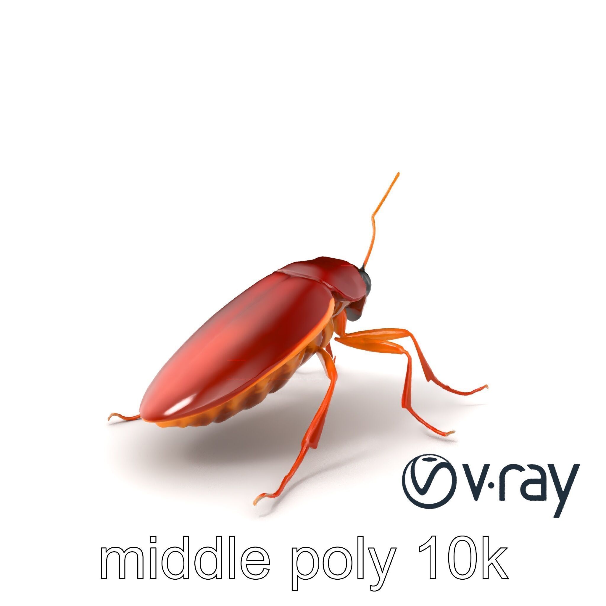 3D model Realistic Cockroach Model Pack VR / AR / low-poly | CGTrader