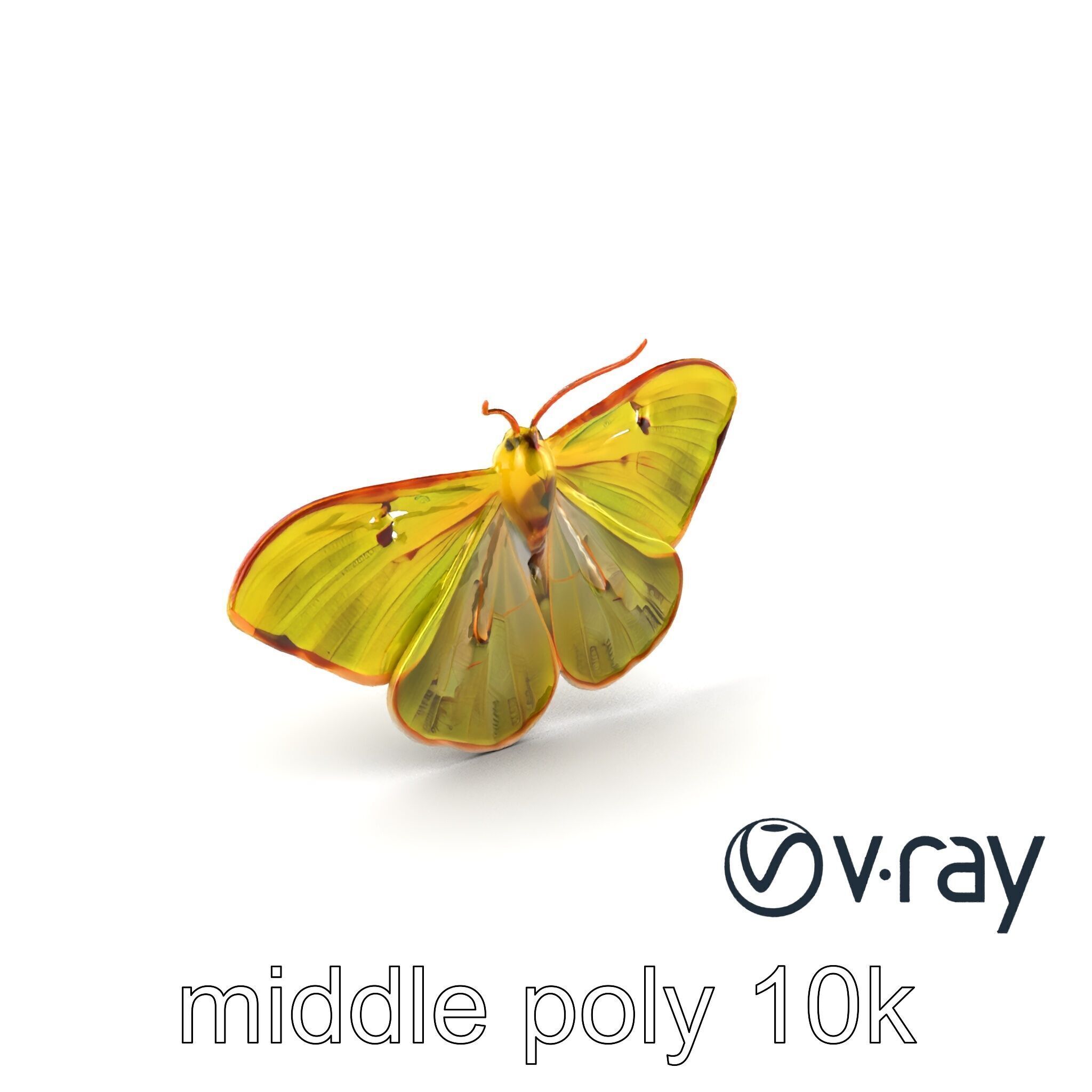 3D model Luna Moth Detailed Wing Texture model pack VR / AR / low-poly ...