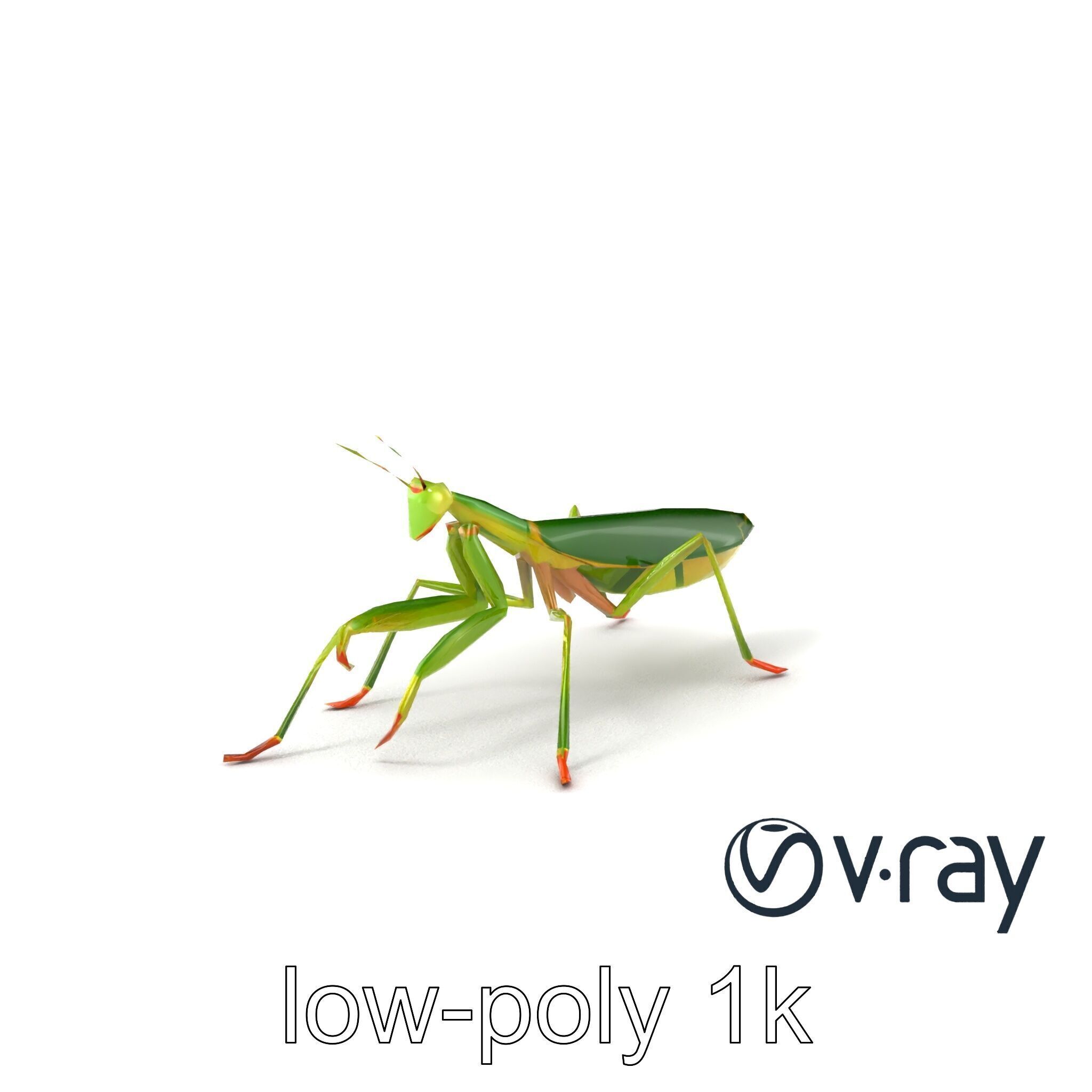 3D model Realistic Praying Mantis Model Pack VR / AR / low-poly | CGTrader