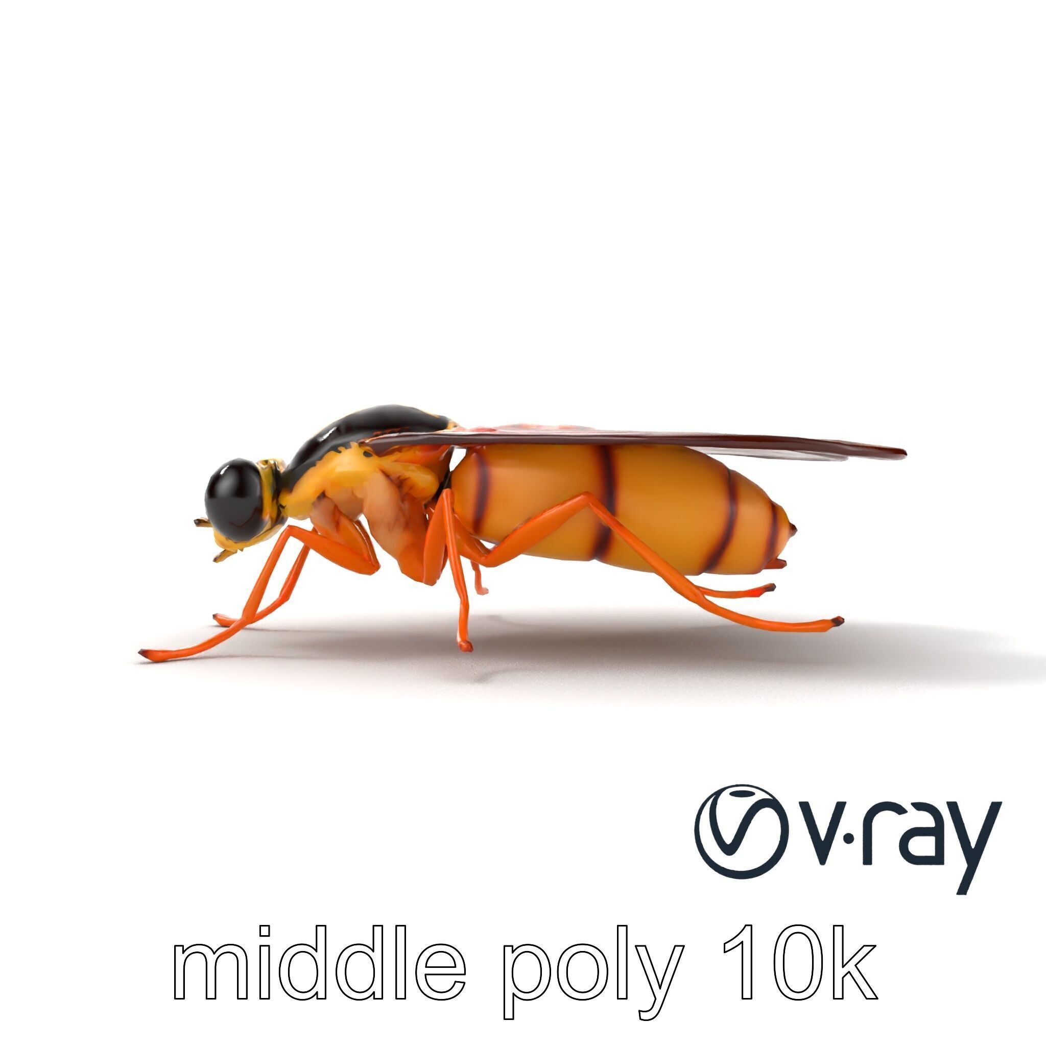 3D model Bioluminescent Firefly 3D model pack VR / AR / low-poly | CGTrader
