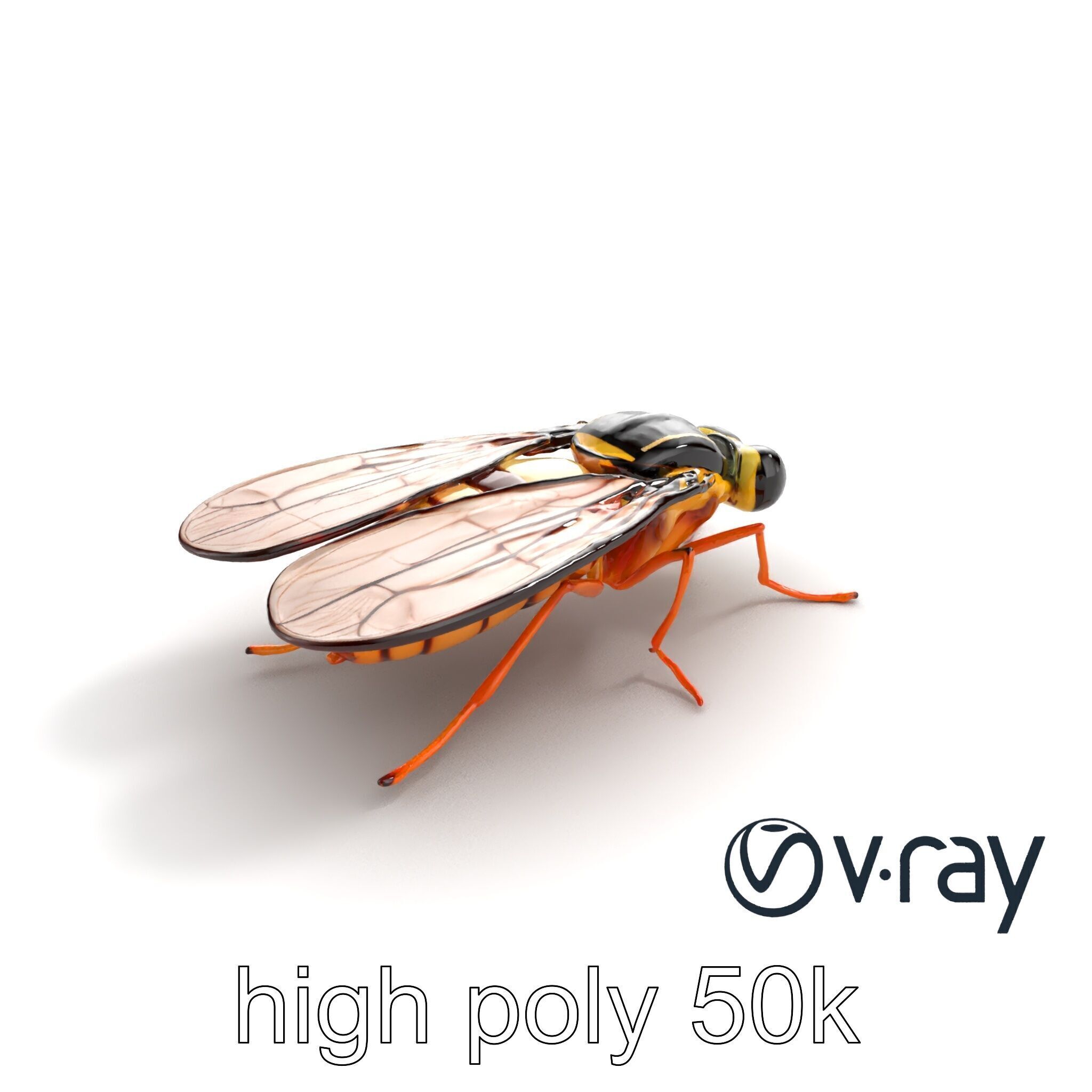 3D model Bioluminescent Firefly 3D model pack VR / AR / low-poly | CGTrader