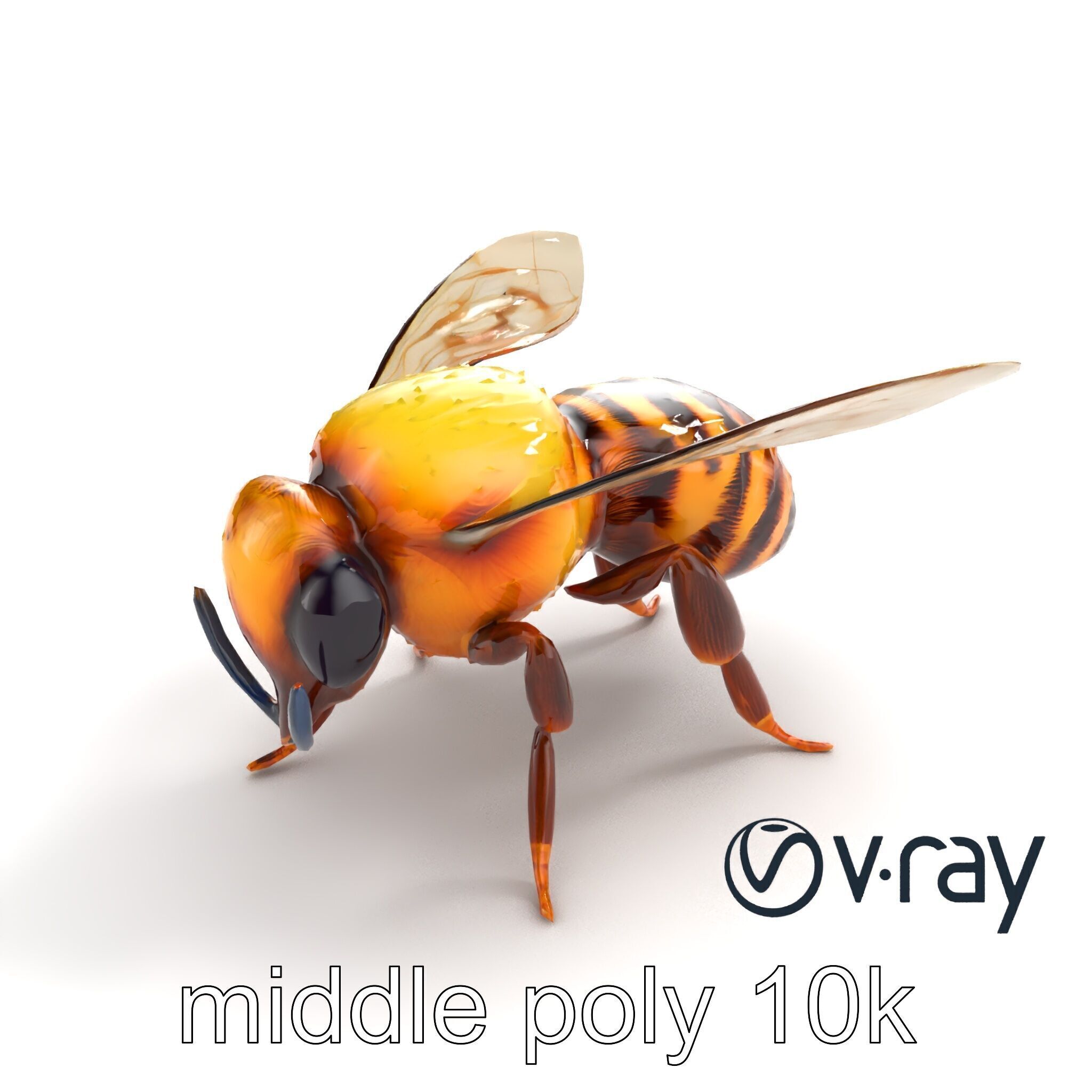 3D model Authentic Honey Bee Detailed 3D Model Pack VR / AR / low-poly ...