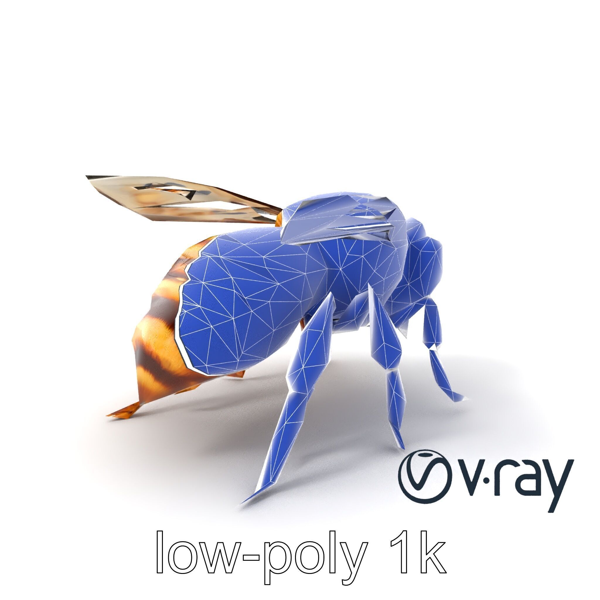 3D model Authentic Honey Bee Detailed 3D Model Pack VR / AR / low-poly ...