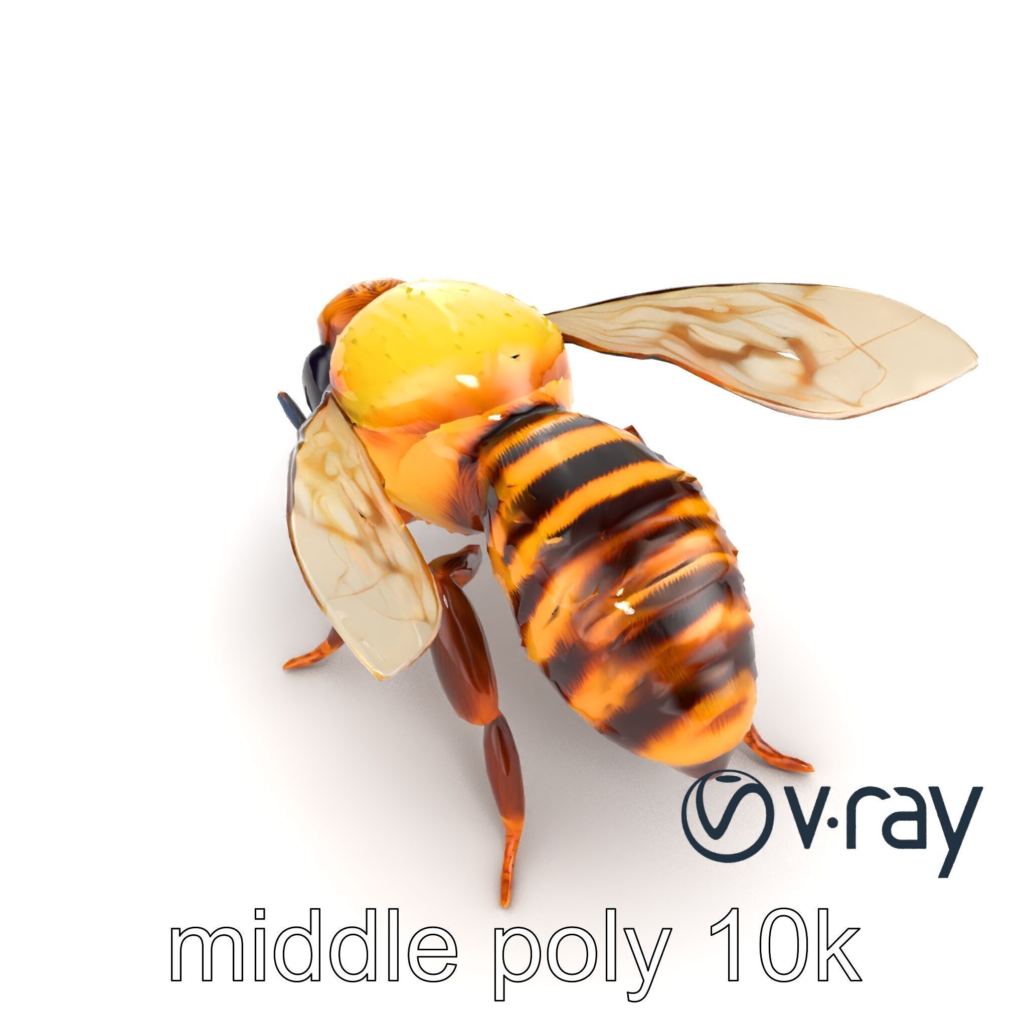 3D model Authentic Honey Bee Detailed 3D Model Pack VR / AR / low-poly ...