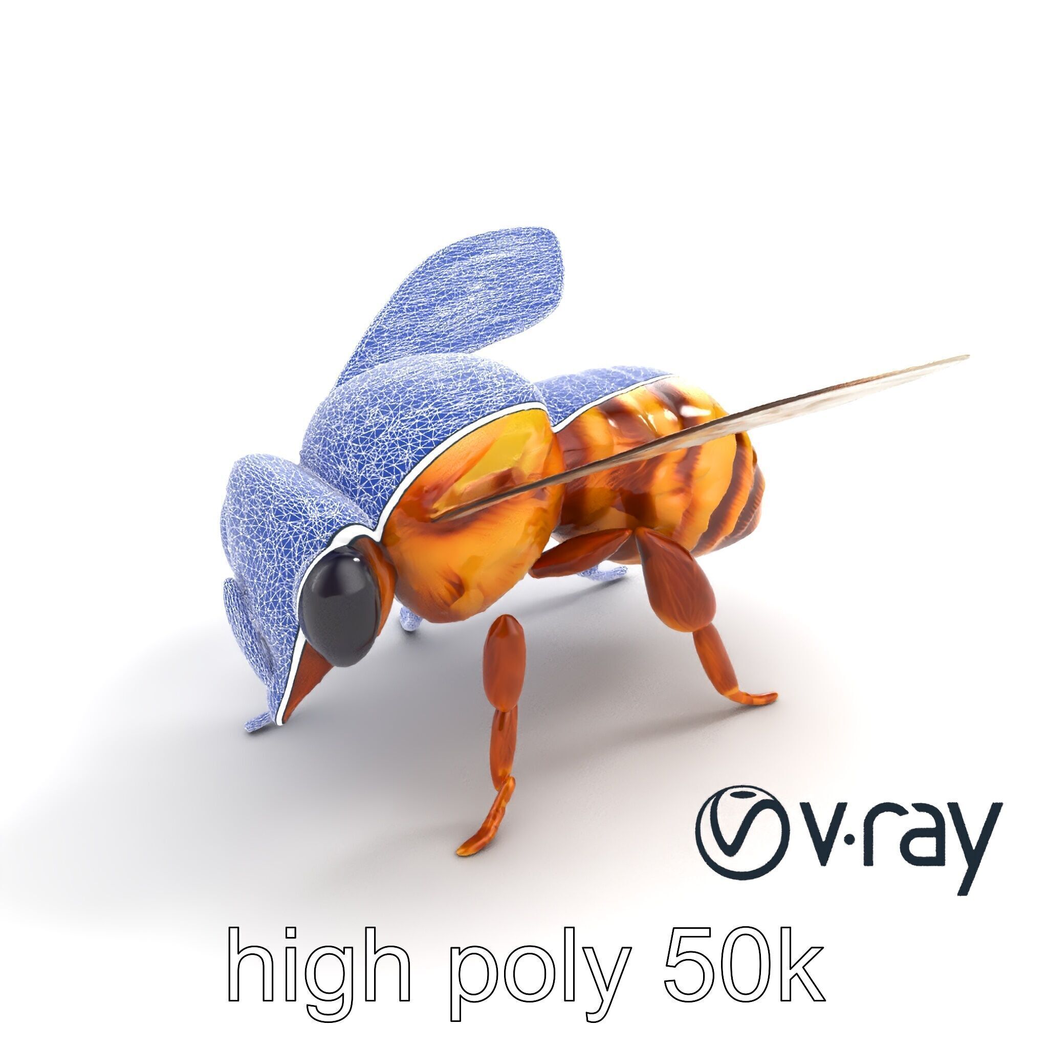 3D model Authentic Honey Bee Detailed 3D Model Pack VR / AR / low-poly ...