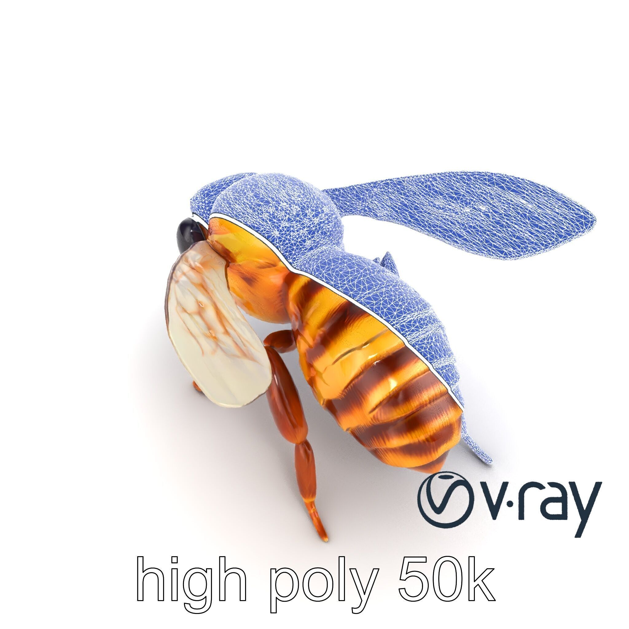 3D model Authentic Honey Bee Detailed 3D Model Pack VR / AR / low-poly ...