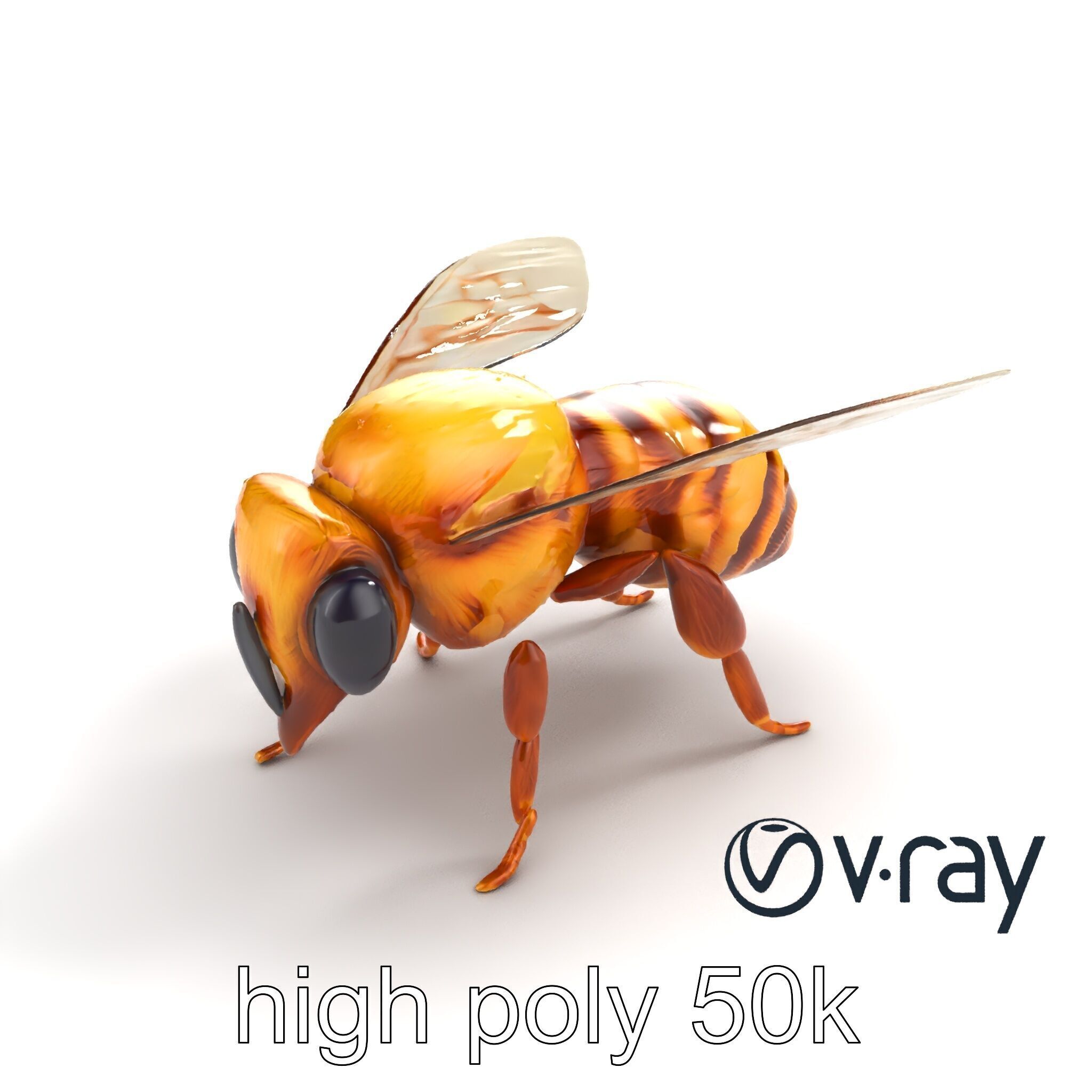 3D model Authentic Honey Bee Detailed 3D Model Pack VR / AR / low-poly ...