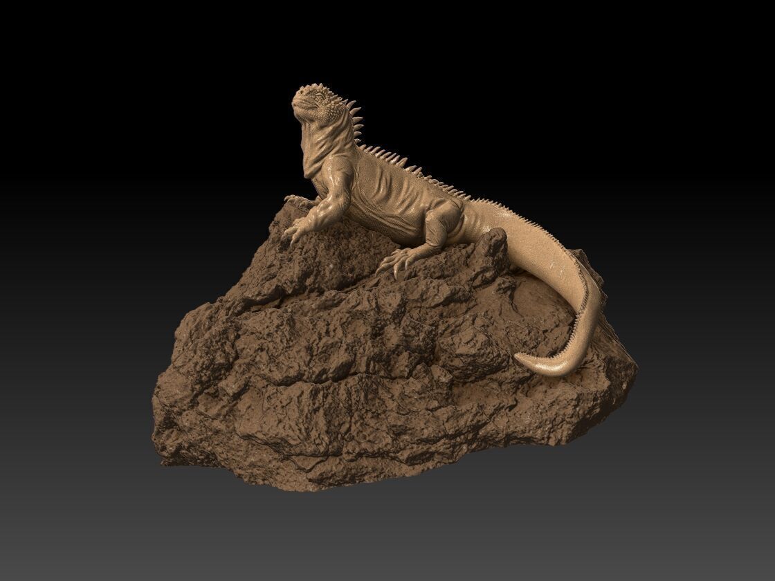 Marine Iguana 3D Print Model 3D model 3D printable | CGTrader