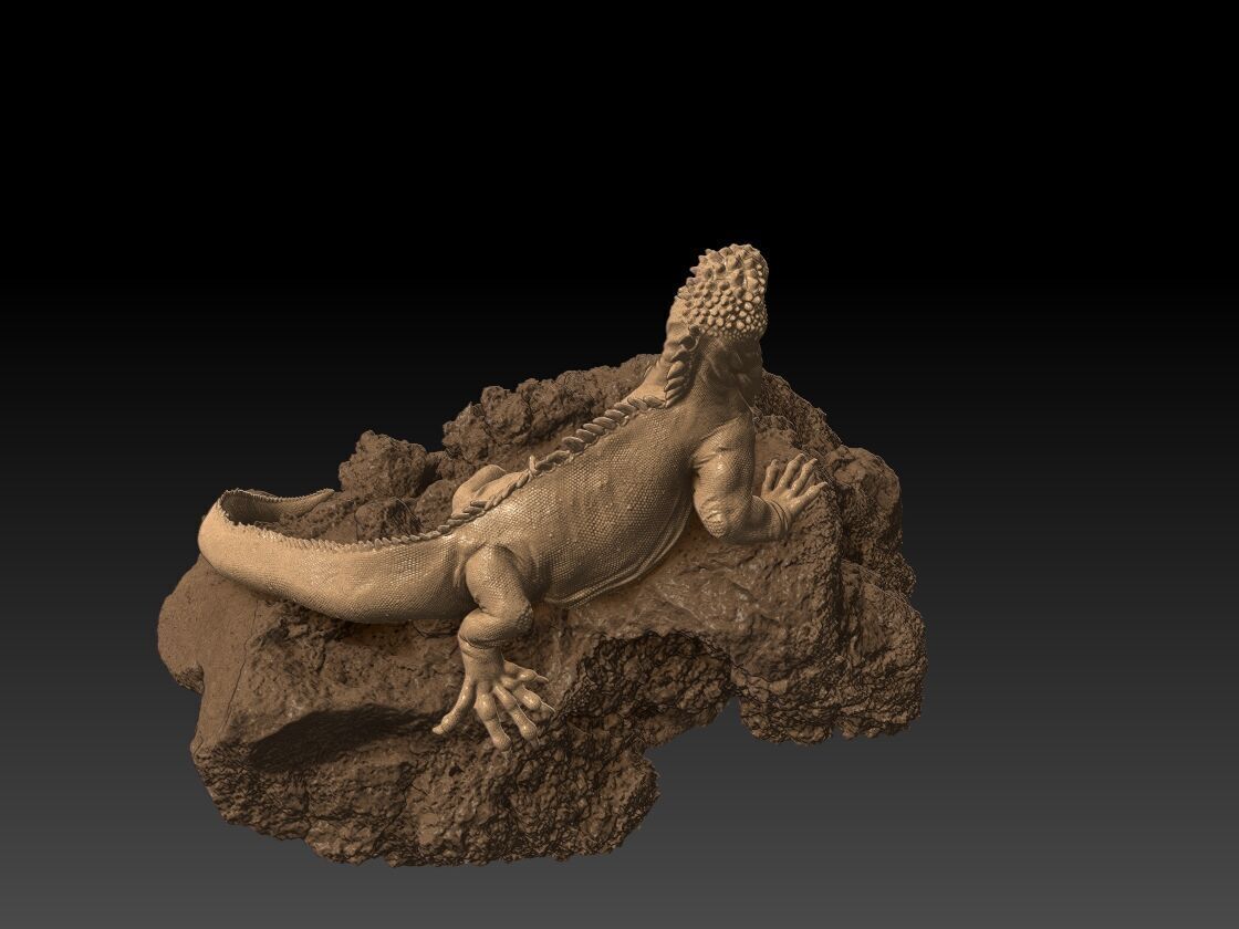 Marine Iguana 3D Print Model 3D model 3D printable | CGTrader