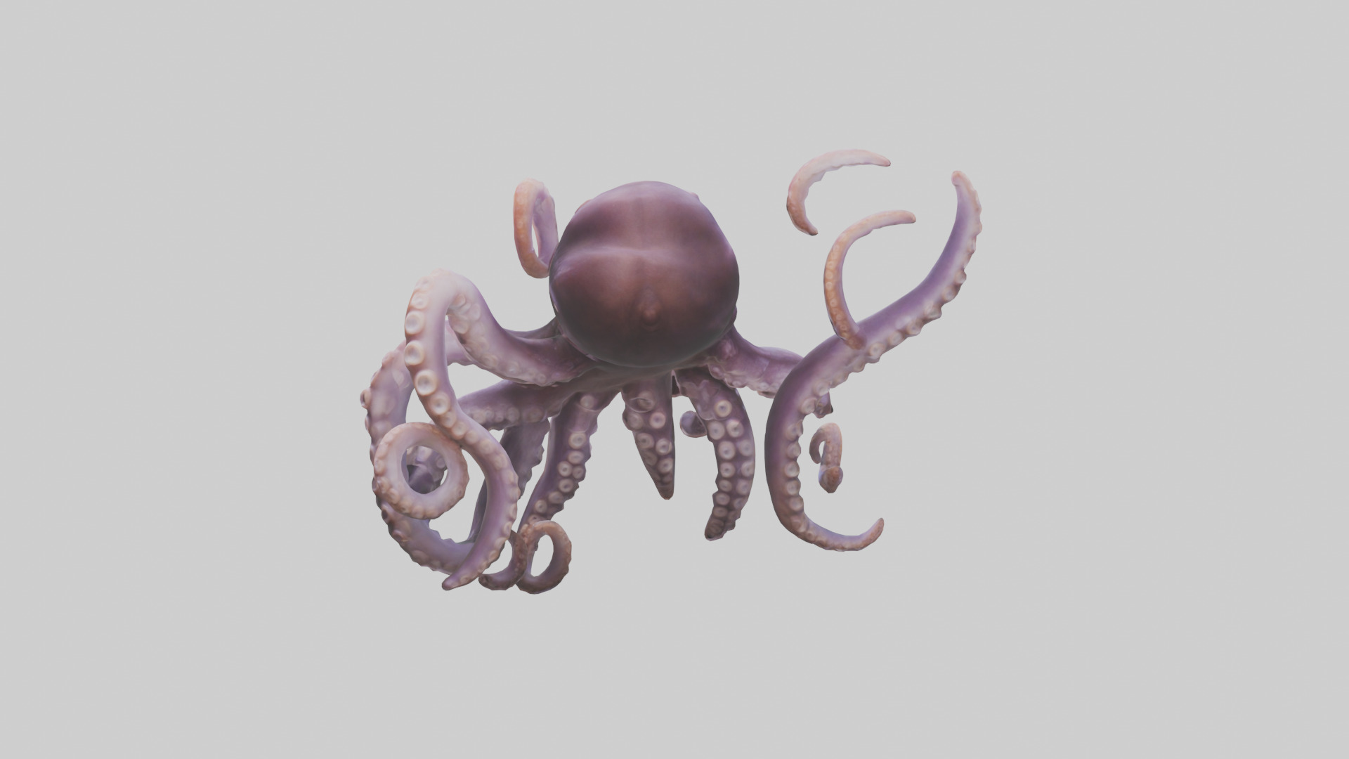 Octopus Tentacles 3D model | CGTrader