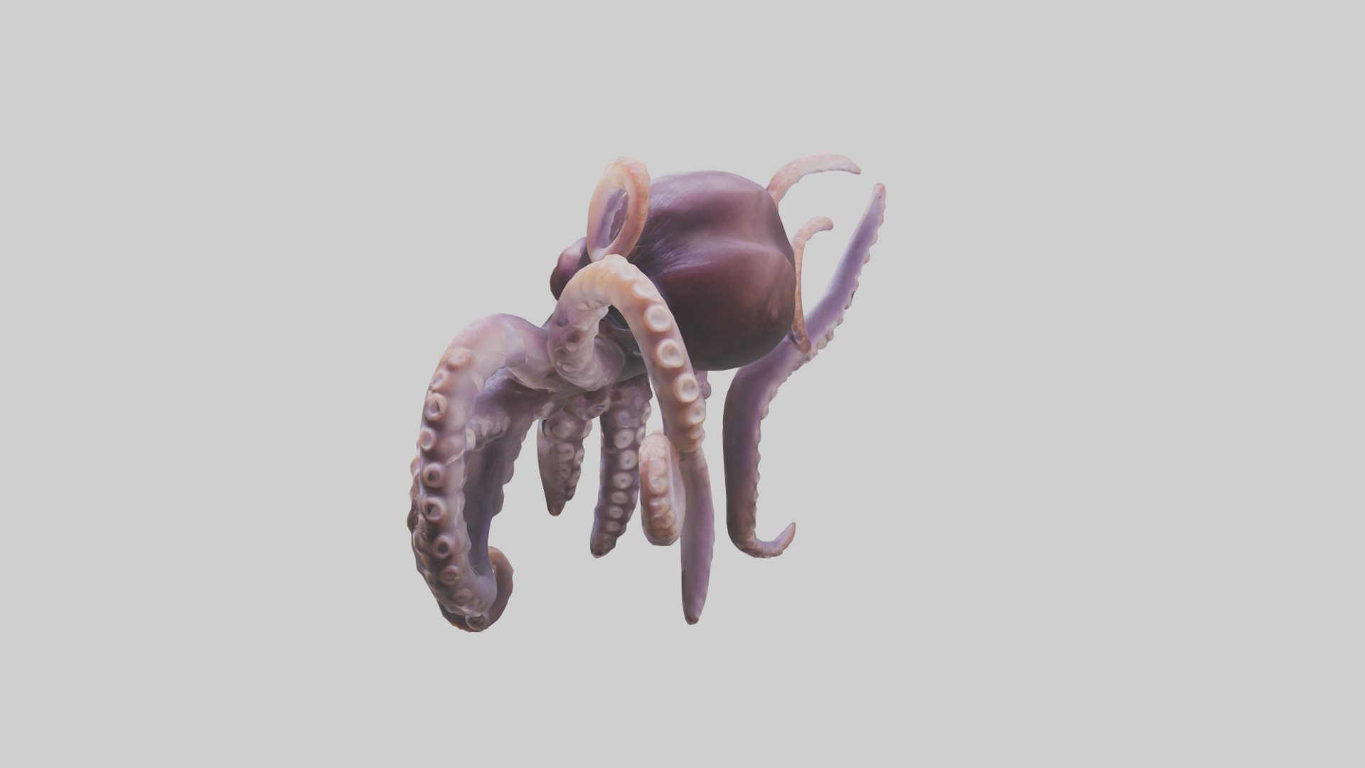 Octopus Tentacles 3D model | CGTrader