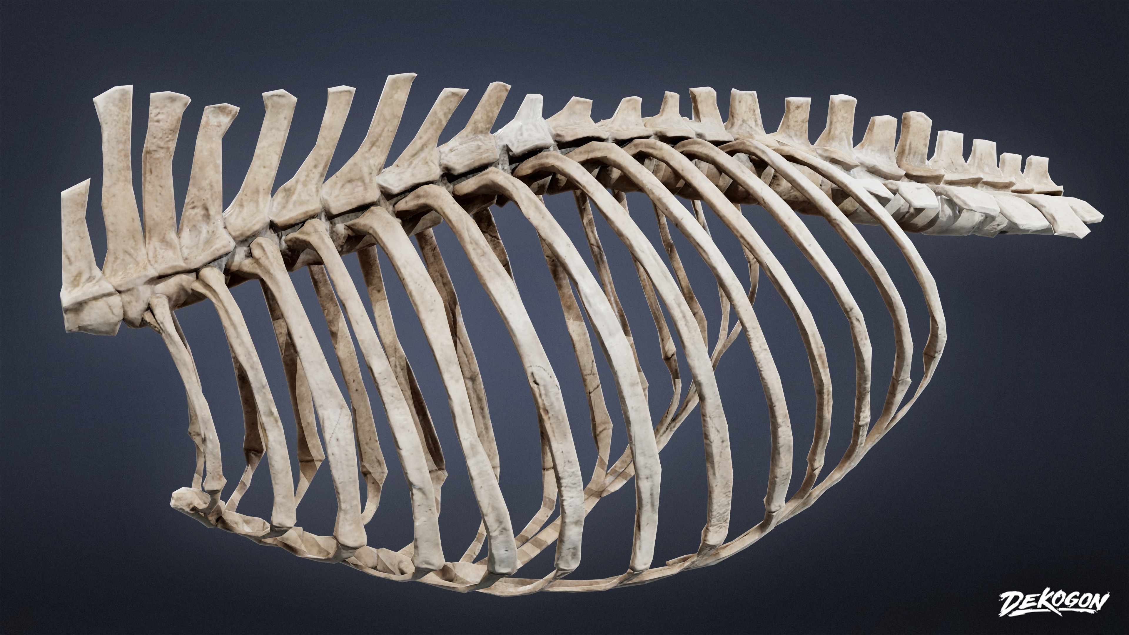 3D model BONES - Cow Ribs 01 - LOW POLY AND NANITE VR / AR / low-poly ...