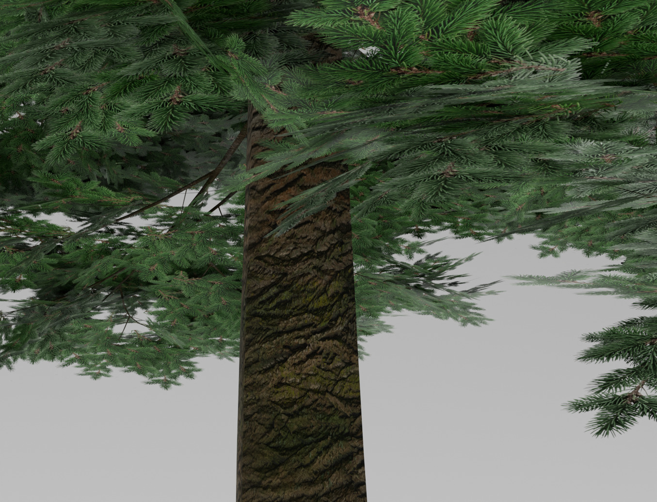 Realistic tree 3d model high poly 3D model | CGTrader